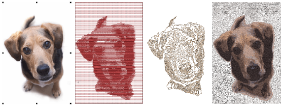 Auto-Digitizing with Photos