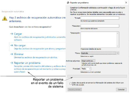 Reporte de problemas